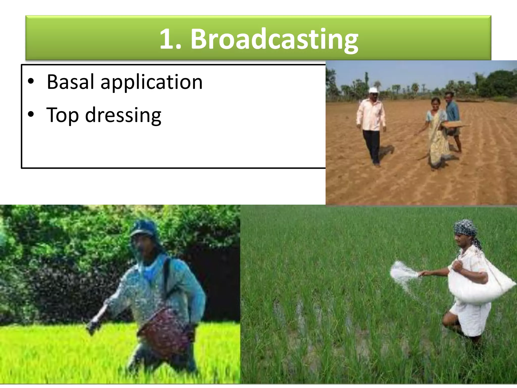 Intercultural operations in vegetable crops | PDF