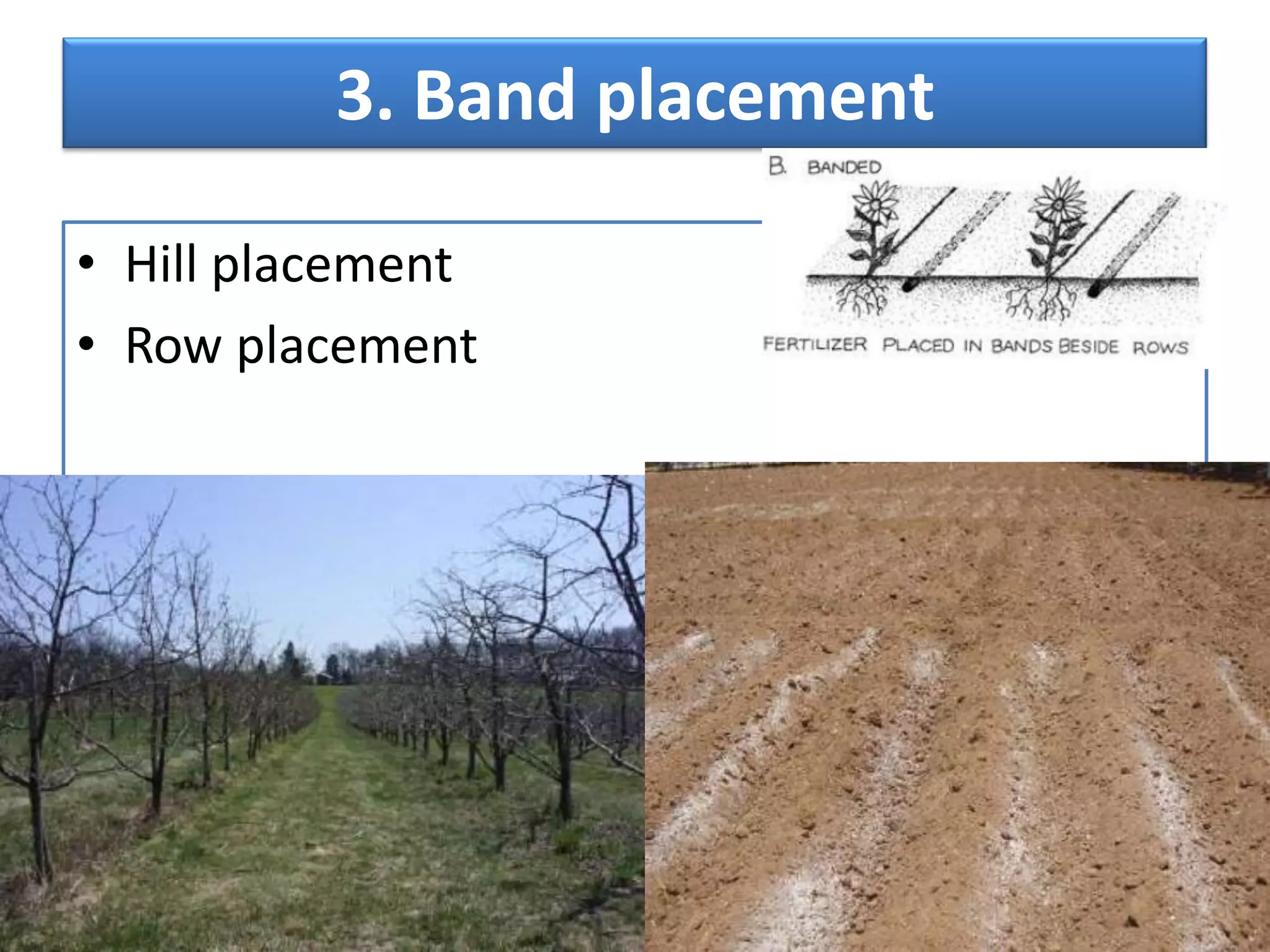 Intercultural operations in vegetable crops | PDF
