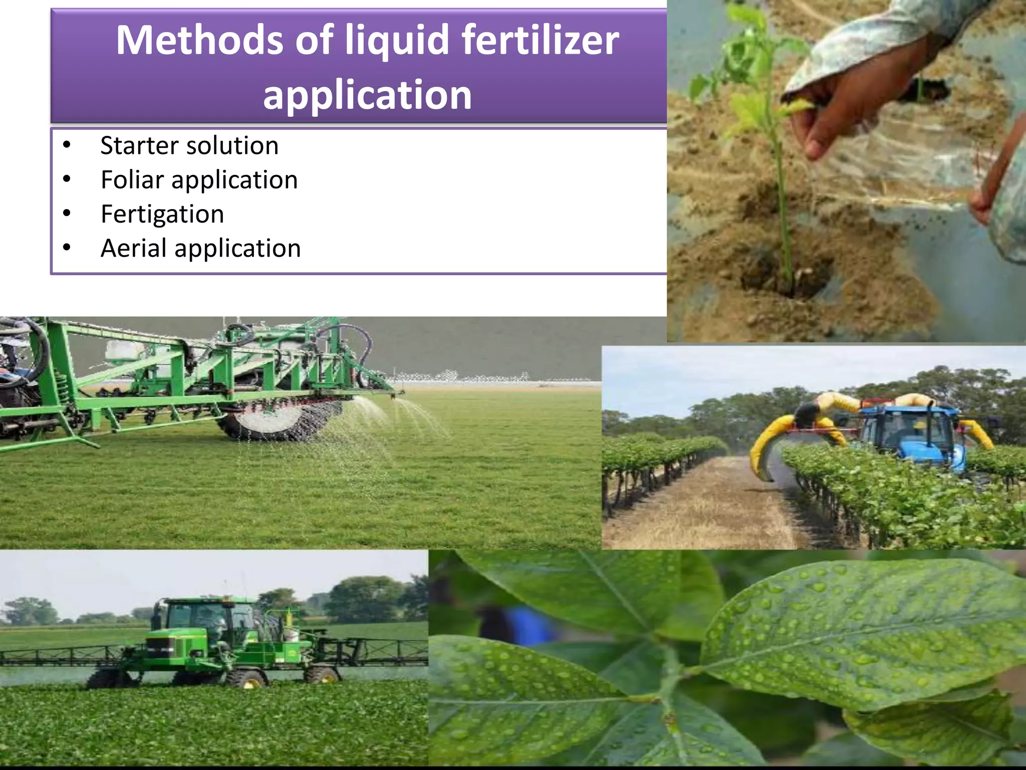 Intercultural operations in vegetable crops | PDF