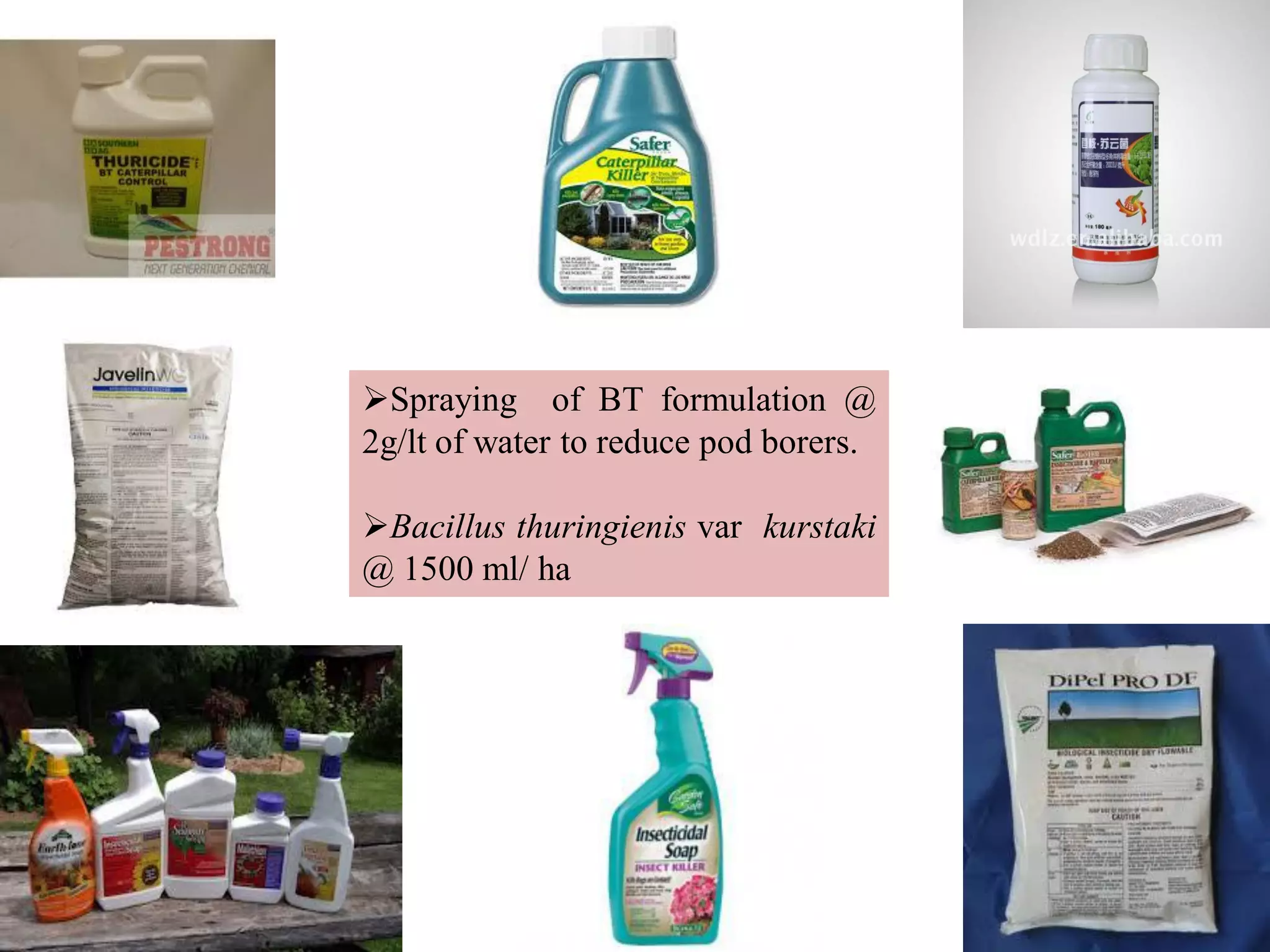 Intercultural operations in vegetable crops | PDF