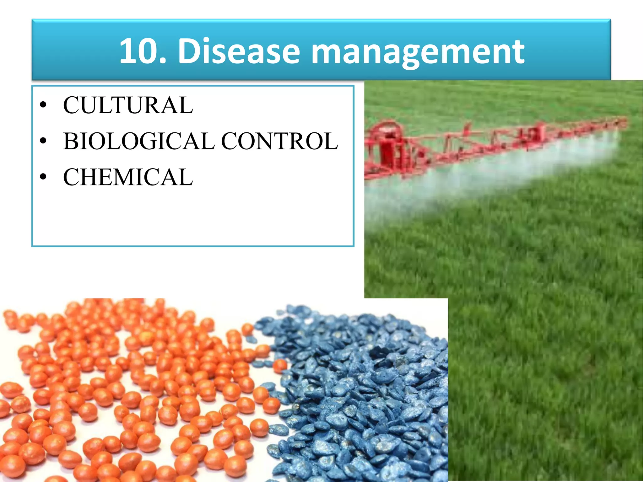 Intercultural operations in vegetable crops | PDF