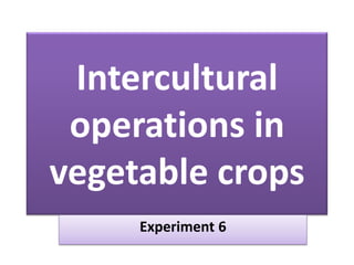 Intercultural operations in vegetable crops | PDF
