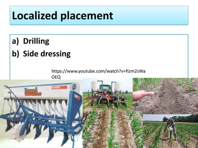 Intercultural operations in vegetable crops | PDF | Gardening | Home ...