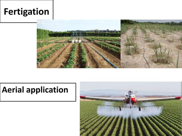 Intercultural operations in vegetable crops | PDF | Gardening | Home ...