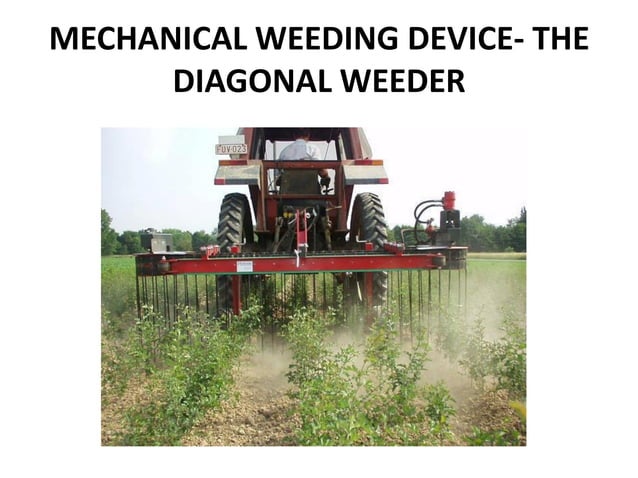 Intercultural operations in vegetable crops | PDF | Gardening | Home ...