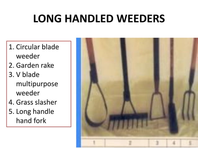 Intercultural operations in vegetable crops | PDF | Gardening | Home ...