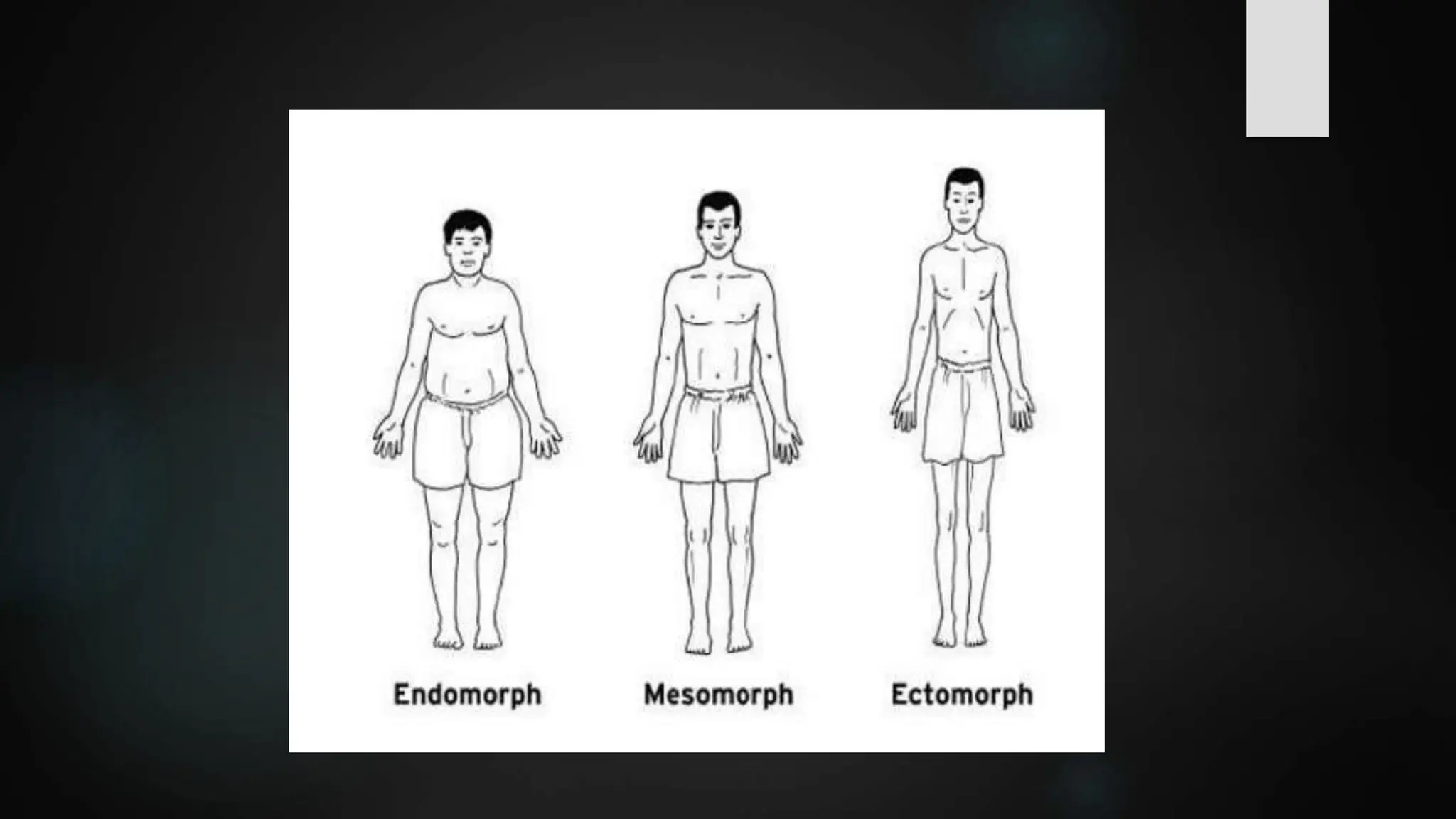 Body Composition ( Komposisi Tubuh ).pptx