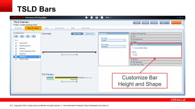 P6 visualizer interactive demonstration - Oracle Primavera P6 ...