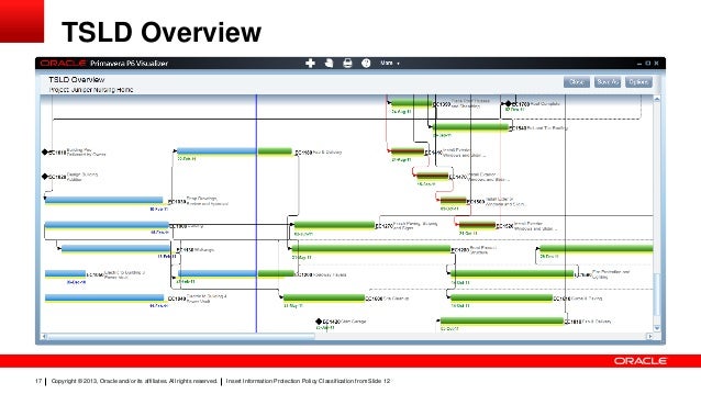 P6 visualizer interactive demonstration - Oracle Primavera P6 Collab…
