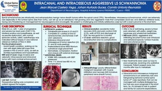 Intracanal and Intraosseous Aggressive L5 Schwannoma: Case Study and ...