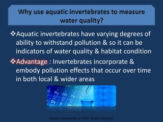 Aquatic Invertebrate as Indicator for Water Quality | PPTX