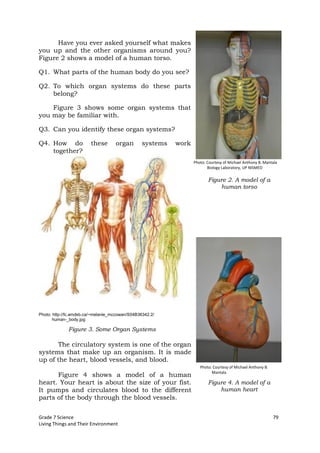 Module_1_from_Cell_to_Organism | PDF