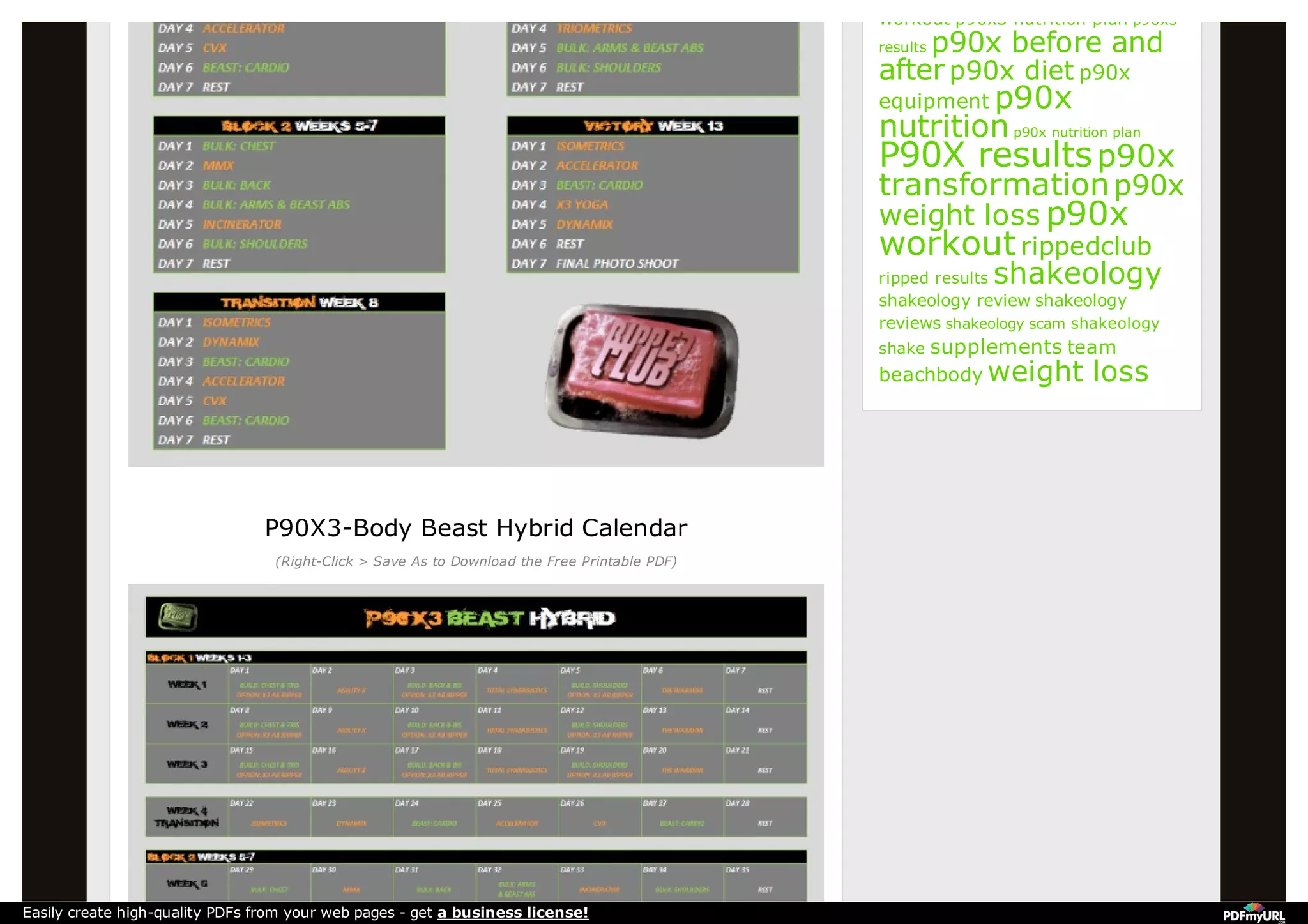 Body Beast/P90X3 Hybrid Schedule and Calendar PDF | PDF