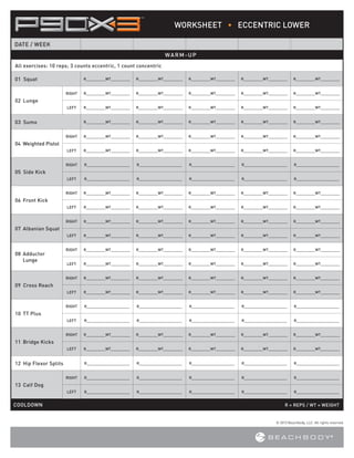 P90x3 Classic Workout Sheets