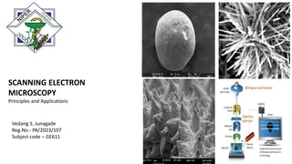 Scanning electron microscopy- principles and applications | PPT