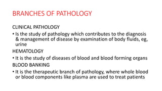COMMON DEFINITIONS & TERMS USED IN PATHOLOGY | PDF
