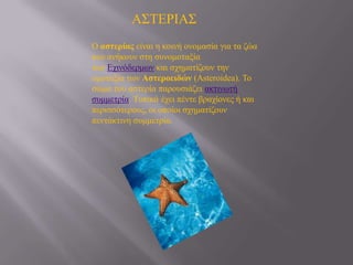 Τα ζώα της θάλασσας | PDF