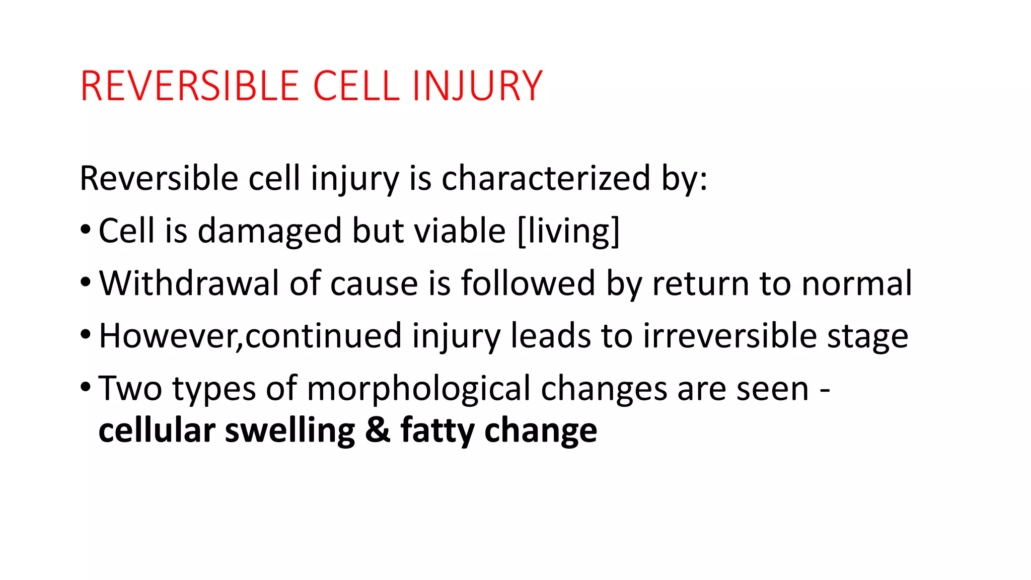 CELL INJURY | PDF