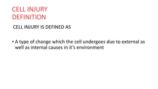 CELL INJURY | PDF