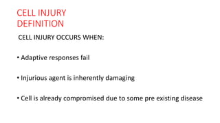 CELL INJURY | PDF