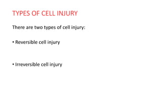 CELL INJURY | PDF