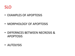 APOPTOSIS | PPT