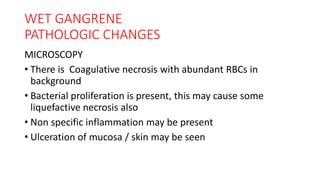 GANGRENE | PDF