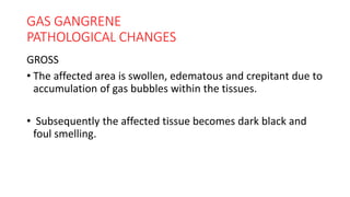 GANGRENE | PDF