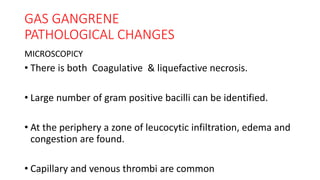 GANGRENE | PDF