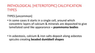 PATHOLOGICAL CALCIFICATION | PDF