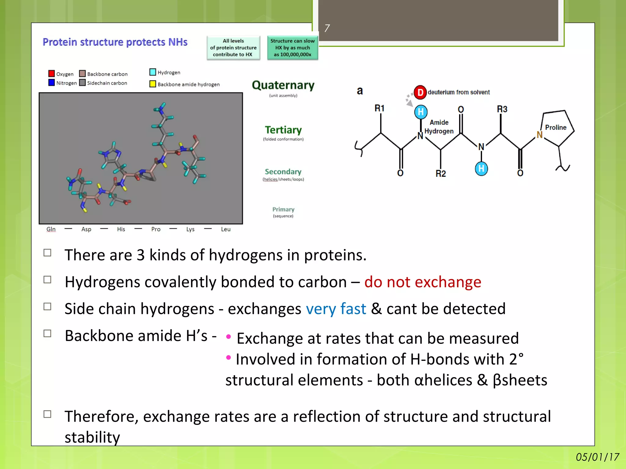 Hydrogen Deuterium exchange mass spectrometry (HDX-MS) | PPT