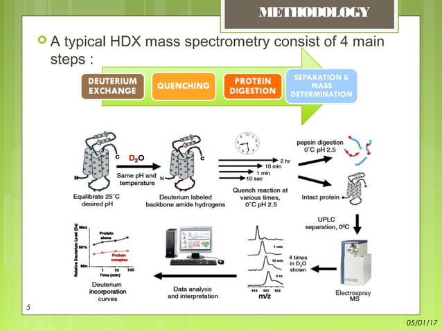 Hydrogen Deuterium exchange mass spectrometry (HDX-MS) | PPT