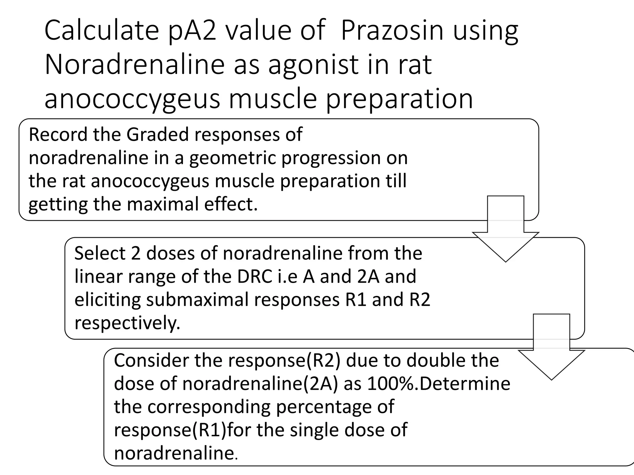 pA2 value, Schild plot and pD2 values- applications in pharmacology | PPTX