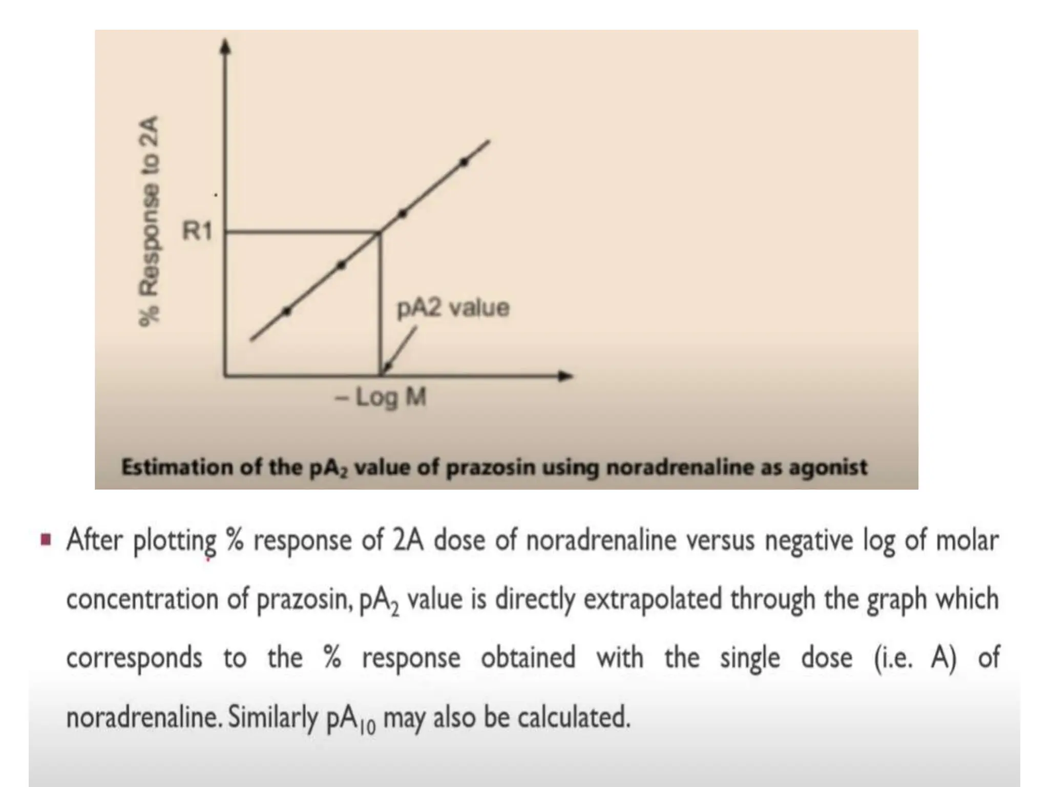 PA2 Value Schild Plot And PD2 Values Applications In Pharmacology PPTX PA2 Value Schild Plot And PD2 Values Applications In Pharmacology PPTX