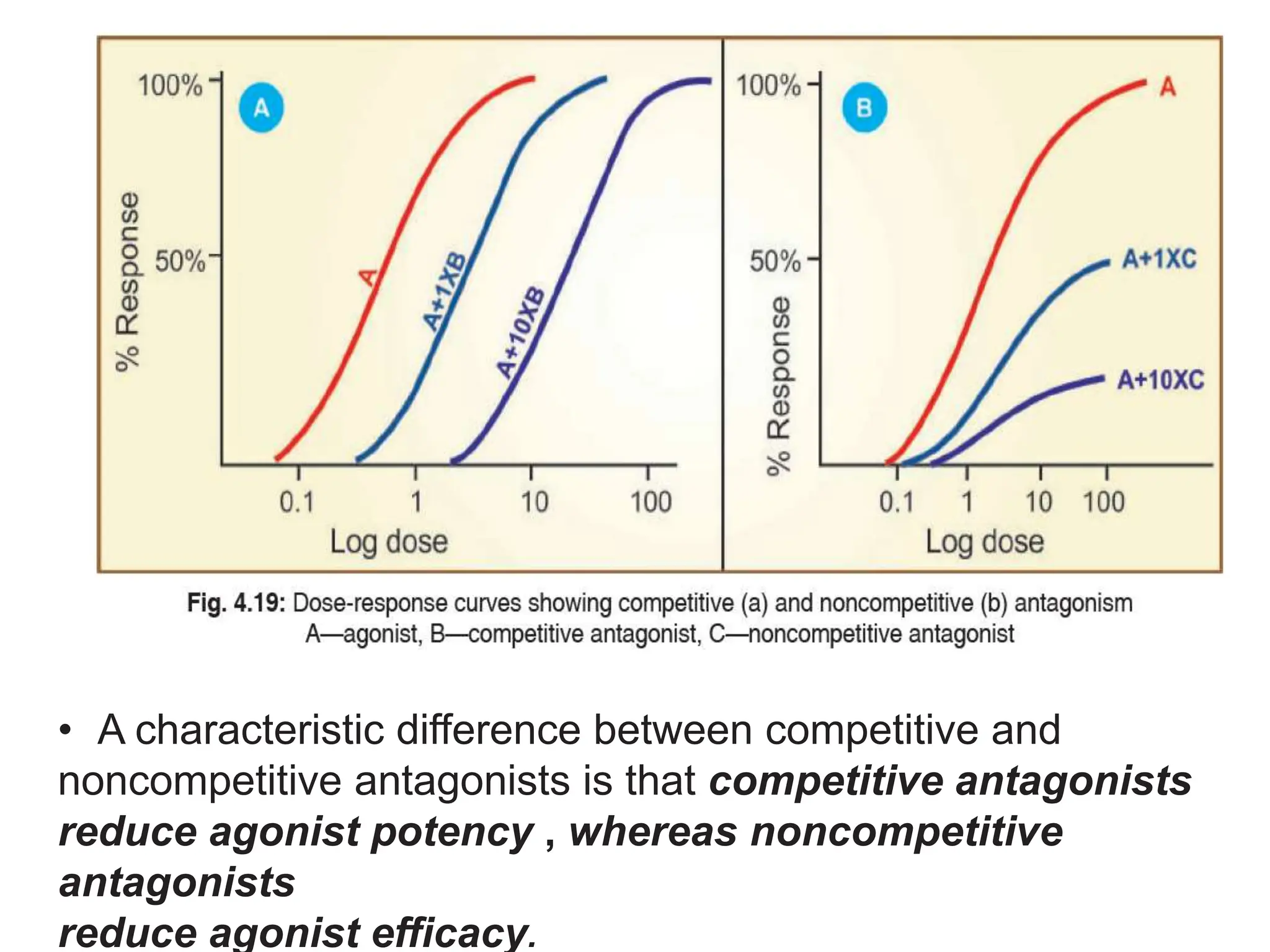 pA2 value, Schild plot and pD2 values- applications in pharmacology | PPTX