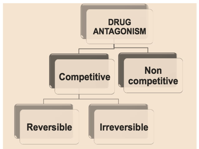 pA2 value, Schild plot and pD2 values- applications in pharmacology | PPTX