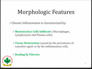 Chronic Inflammation cell injury pathology.pdf