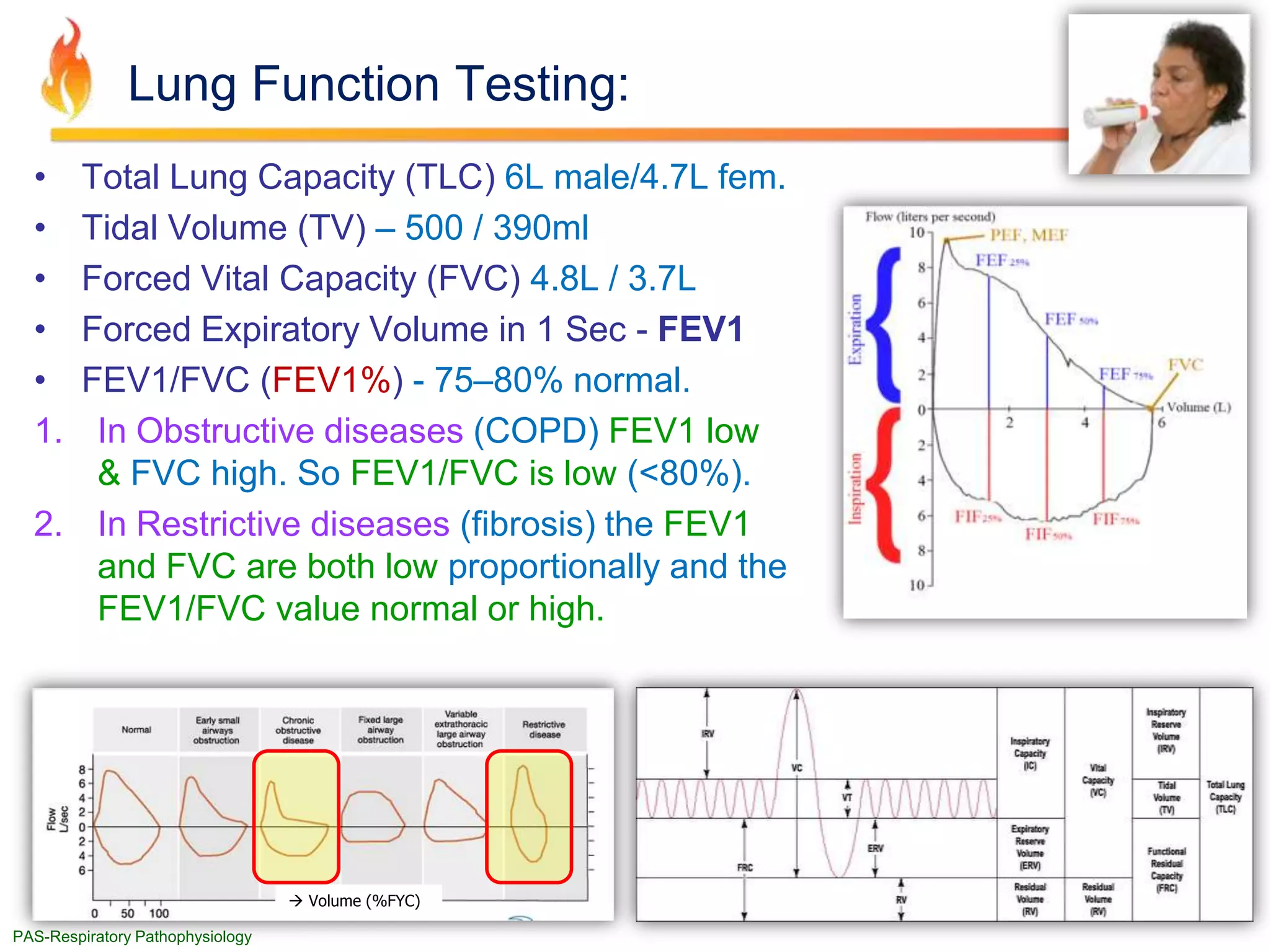 Pathology of Respiratory System Disorders | PPTX