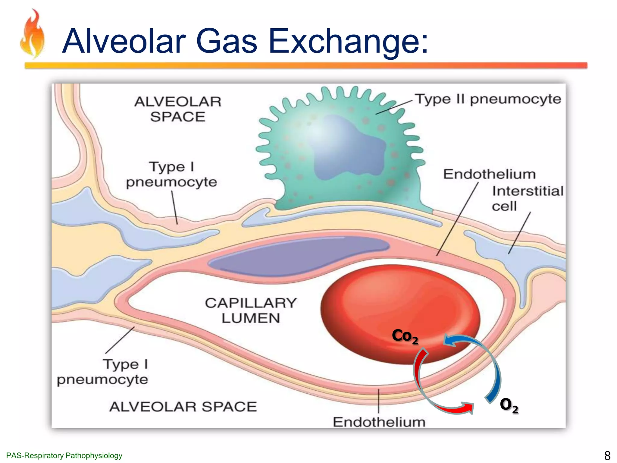 Pathology of Respiratory System Disorders | PPTX