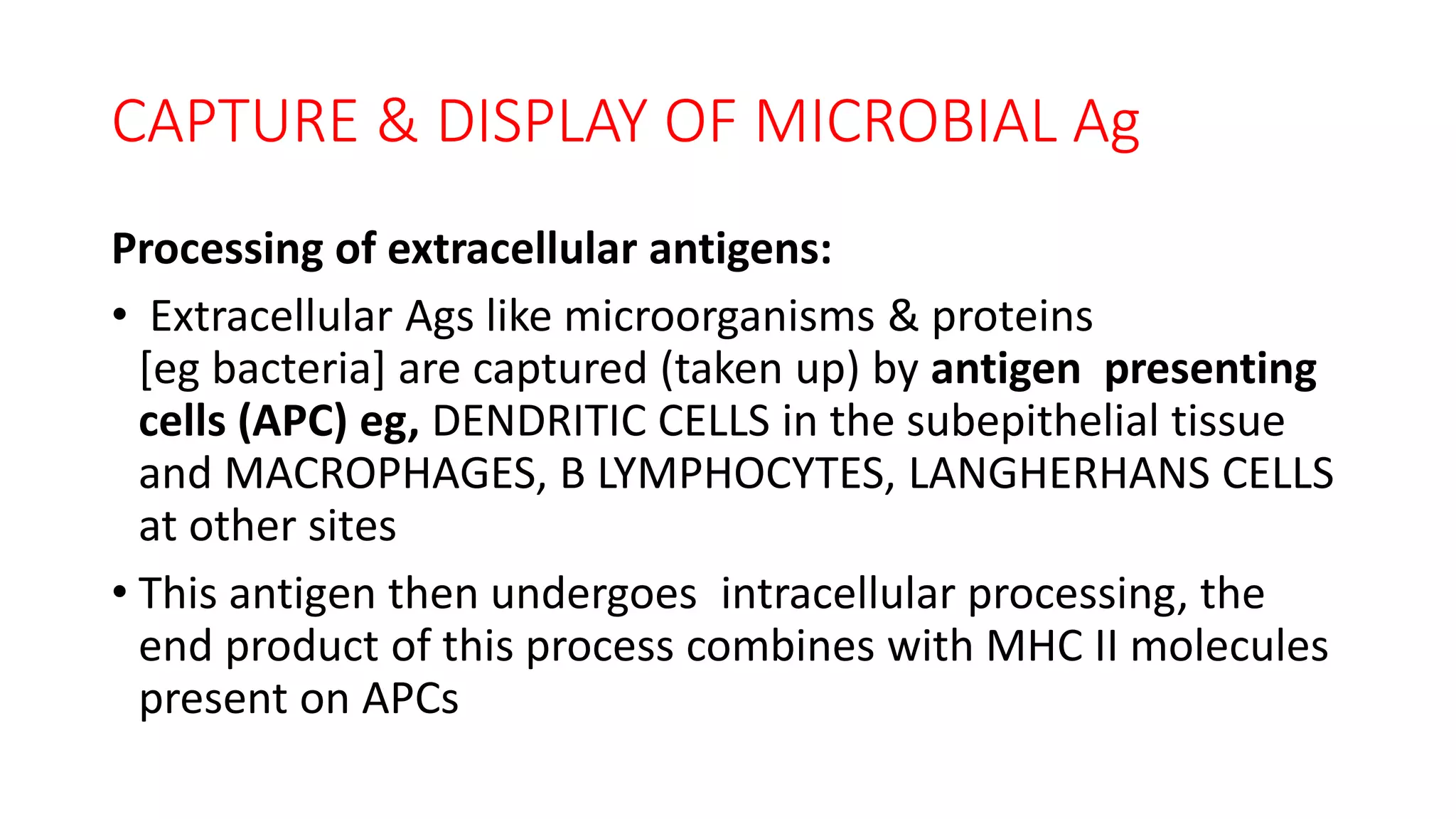OVERVIEW OF NORMAL IMMUNE SYSTEM | PDF