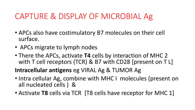 OVERVIEW OF NORMAL IMMUNE SYSTEM | PPT