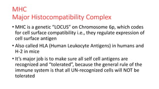 OVERVIEW OF NORMAL IMMUNE SYSTEM | PPT