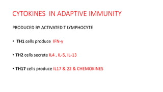 OVERVIEW OF NORMAL IMMUNE SYSTEM | PPT