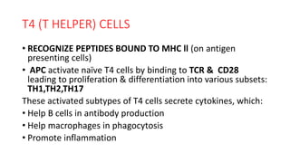 OVERVIEW OF NORMAL IMMUNE SYSTEM | PPT