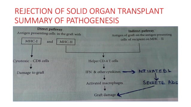 TRANSPLANT REJECTION - TYPES & MECHANISM | PDF