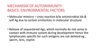 AUTOIMMUNITY PART 1 BASICS | PDF