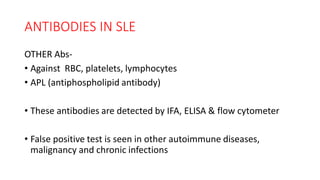 AUTOIMMUNITY PART 2 SYSTEMIC LUPUS ERYTHEMATOSUS | PDF