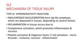 AUTOIMMUNITY PART 2 SYSTEMIC LUPUS ERYTHEMATOSUS | PDF | Blood ...
