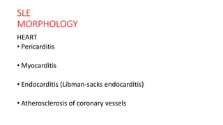 AUTOIMMUNITY PART 2 SYSTEMIC LUPUS ERYTHEMATOSUS | PDF
