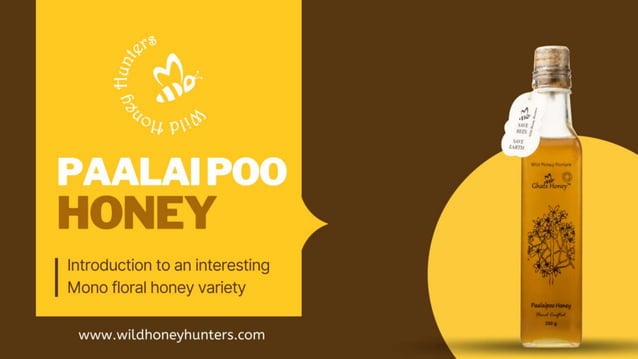 Paalai Poo Honey-Paalai honey-Wild honey hunters | PPT